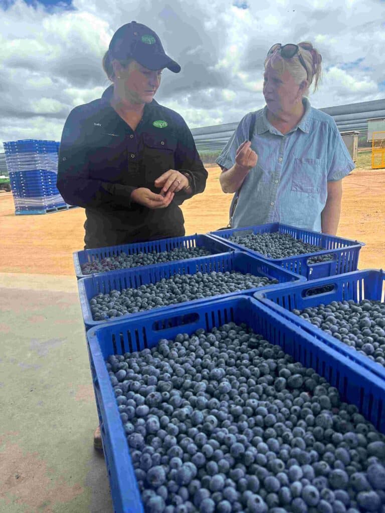 Meet Sally Jolly – Smart Berries | QCWA Country Kitchens